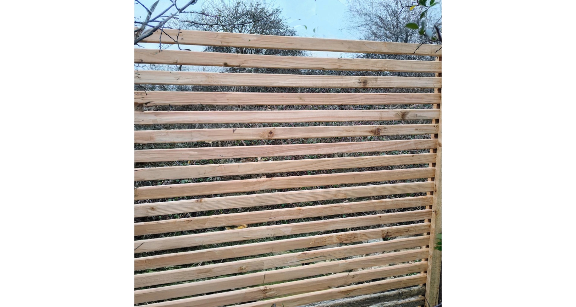 Native Western Red Cedar Roundover Slat 1.8m X 40mm X... | Yandles