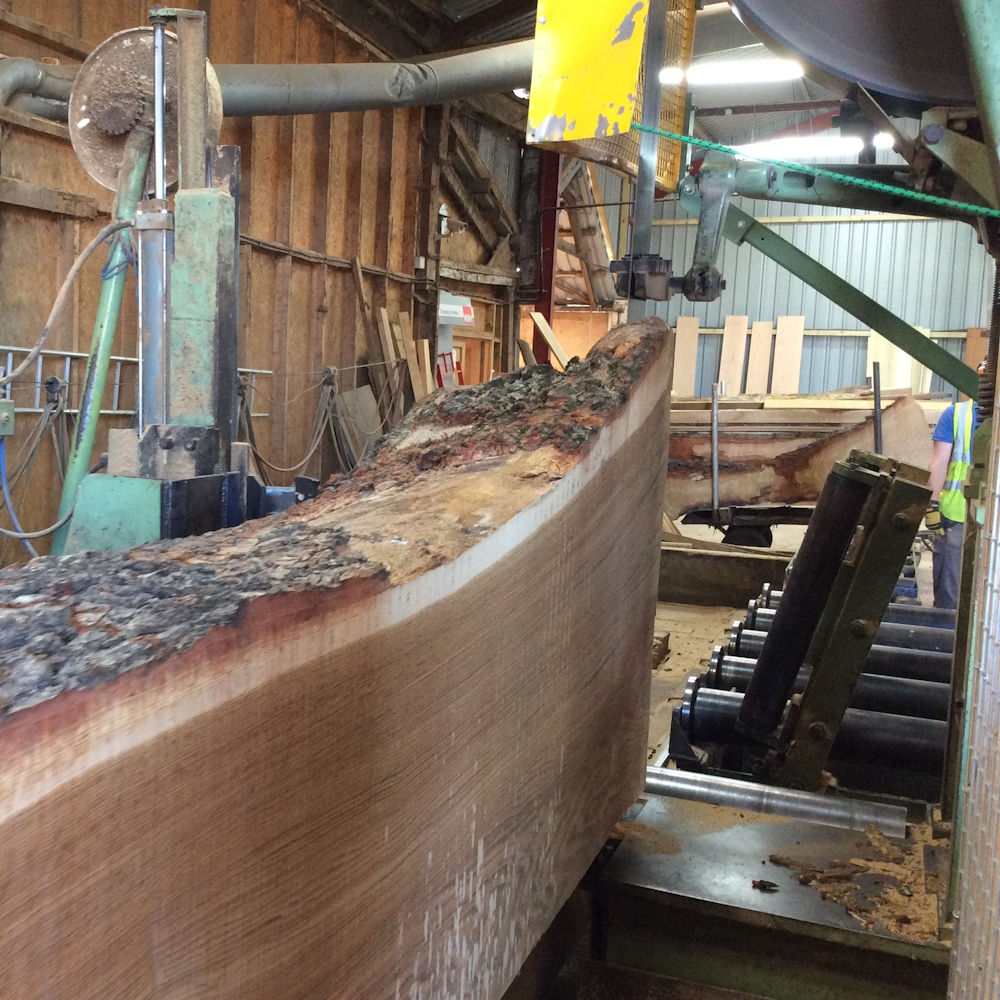 Green Oak Timber | Yandles